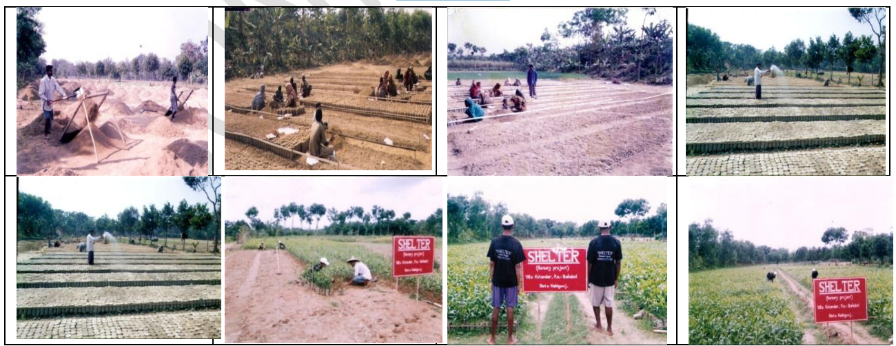 TREE PLANTATION PLAN 2021 – Shelter